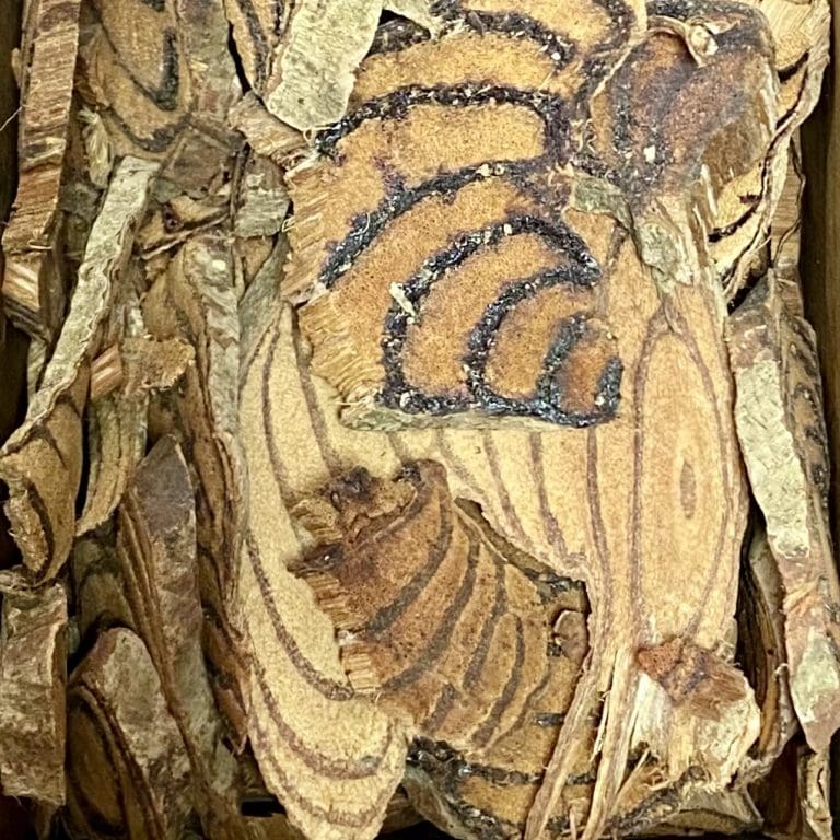 Ji Xue Teng (Caulis Spatholobi)