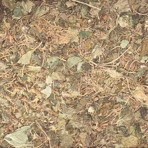 Xi Xin | Asante Academy | Chinese Herbal Medicine